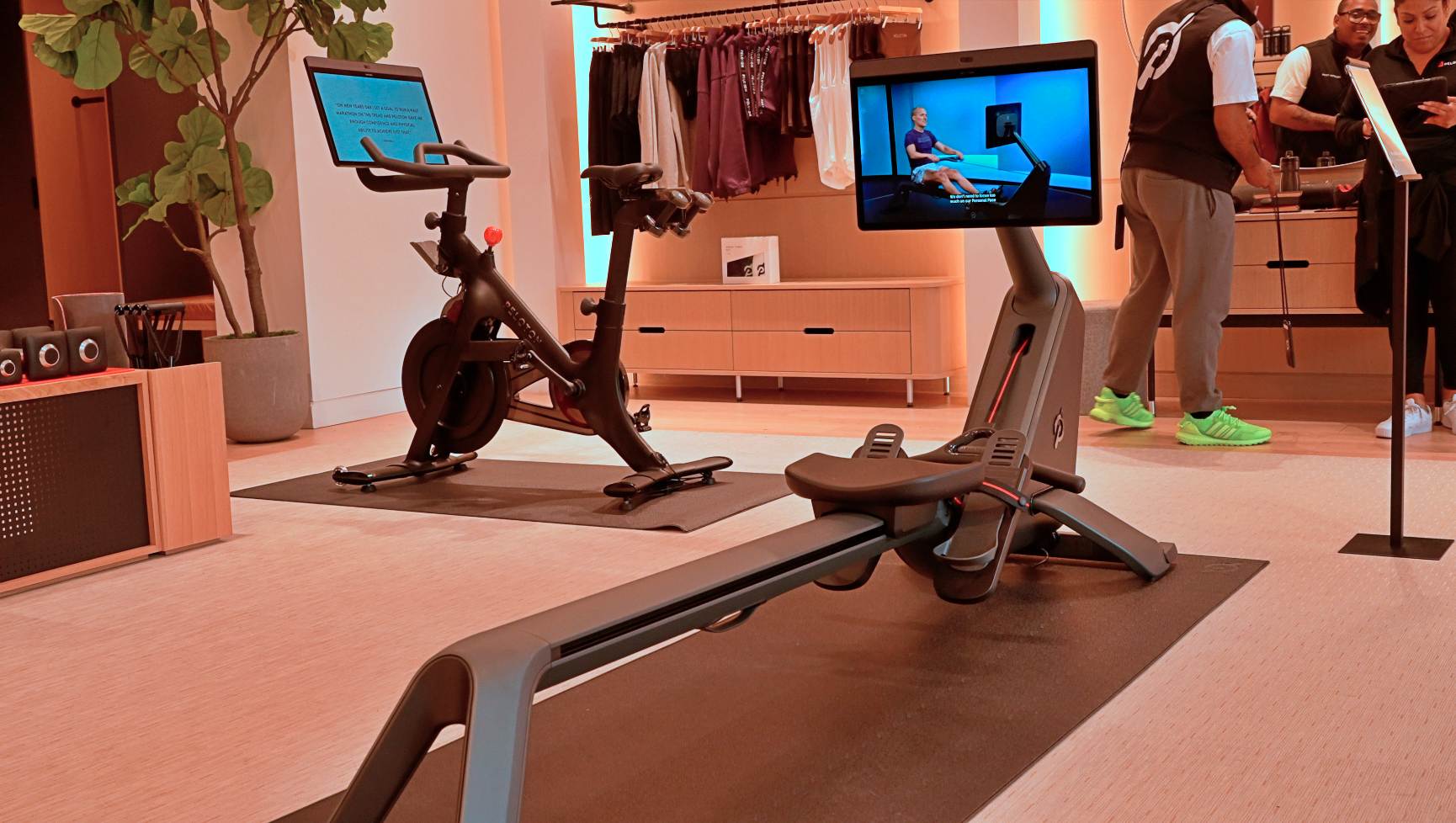 Peloton Row review - almost the perfect rower